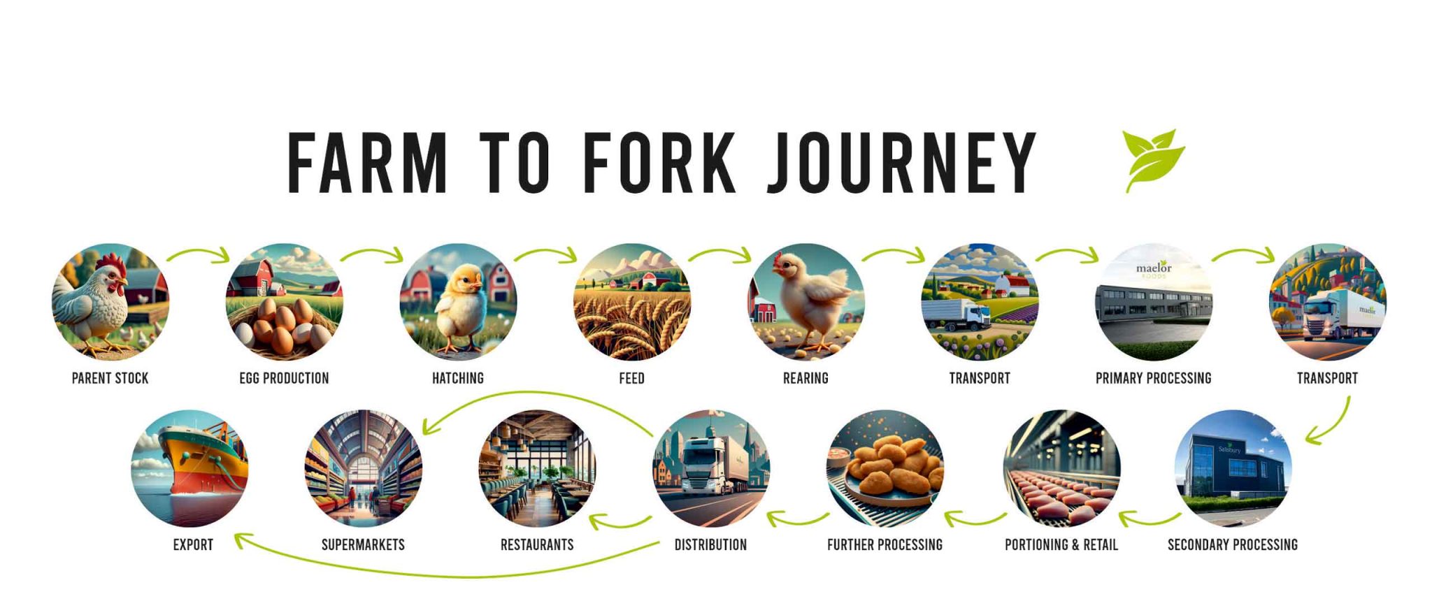 Farm to Fork - Salisbury Poultry
